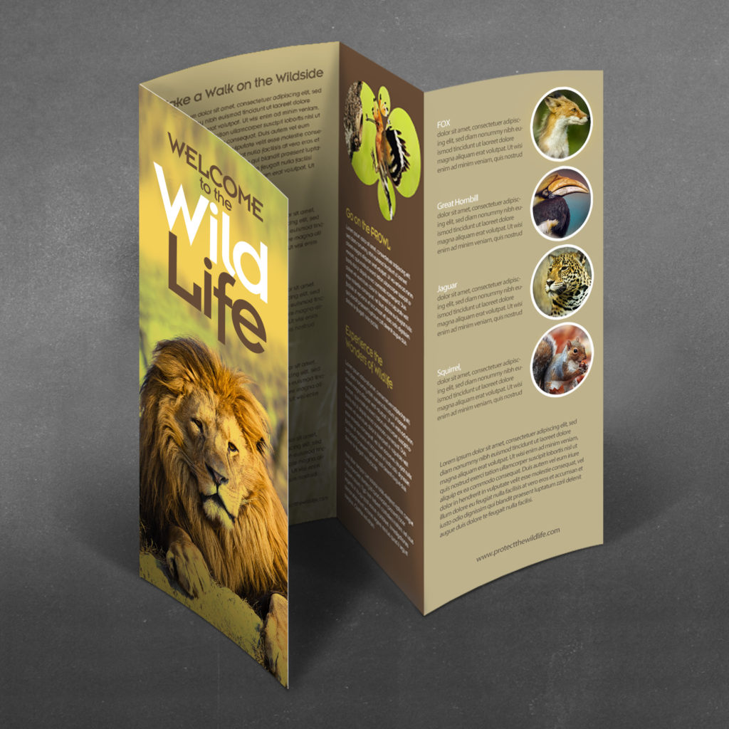 What are the different folding options? - NextDayFlyers Help Center